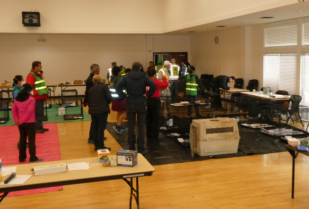 Saratoga CERT hosts Animal Shelter Drill at Joan Pisani Community ...